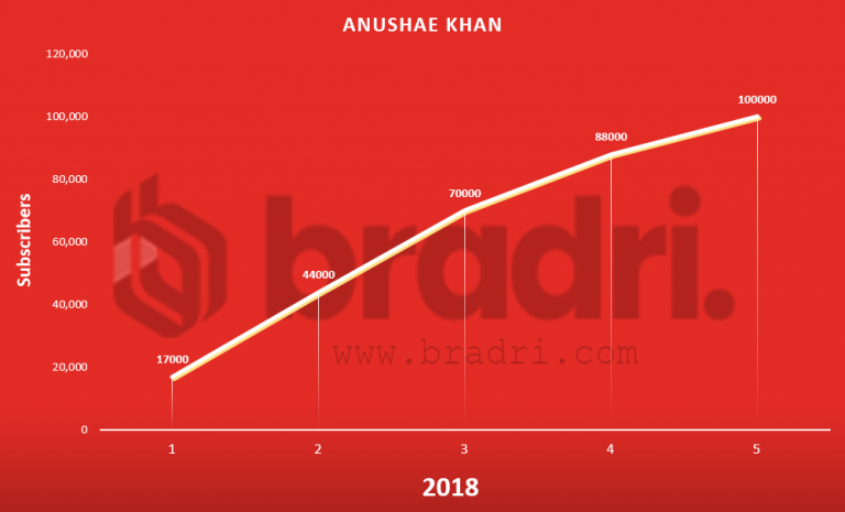 Top Pakistani Youtubers with most subscribers 2020 | Bradri.