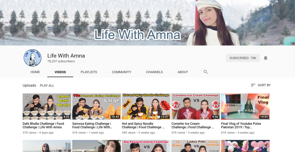 Most Popular Pakistani Female Vloggers on YouTube | Bradri.