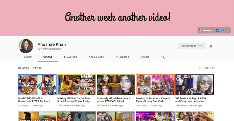 Most Popular Pakistani Female Vloggers on YouTube | Bradri.