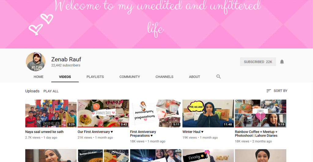 Most Popular Pakistani Female Vloggers on YouTube | Bradri.